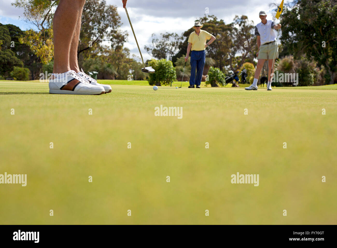 Low angle photo of man putting on golf green with two fellow golfers ...