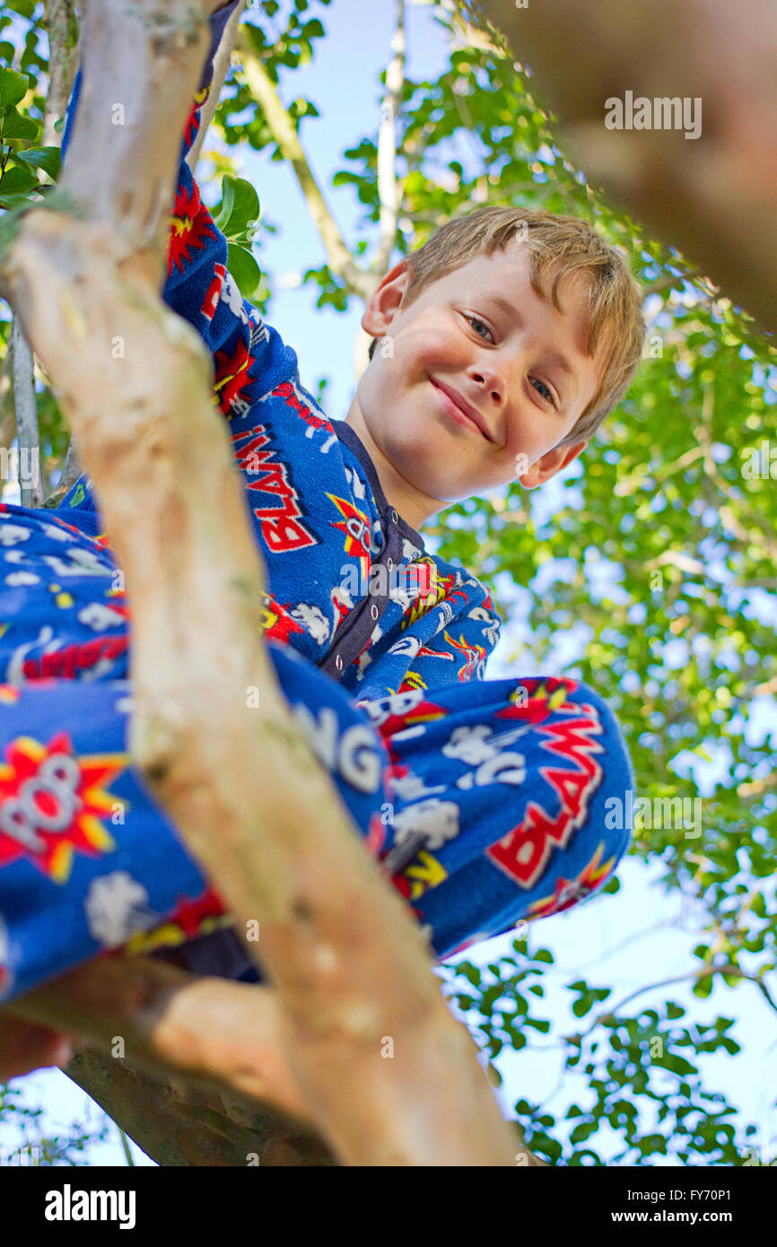 Young boy up in a tree Stock Photo - Alamy