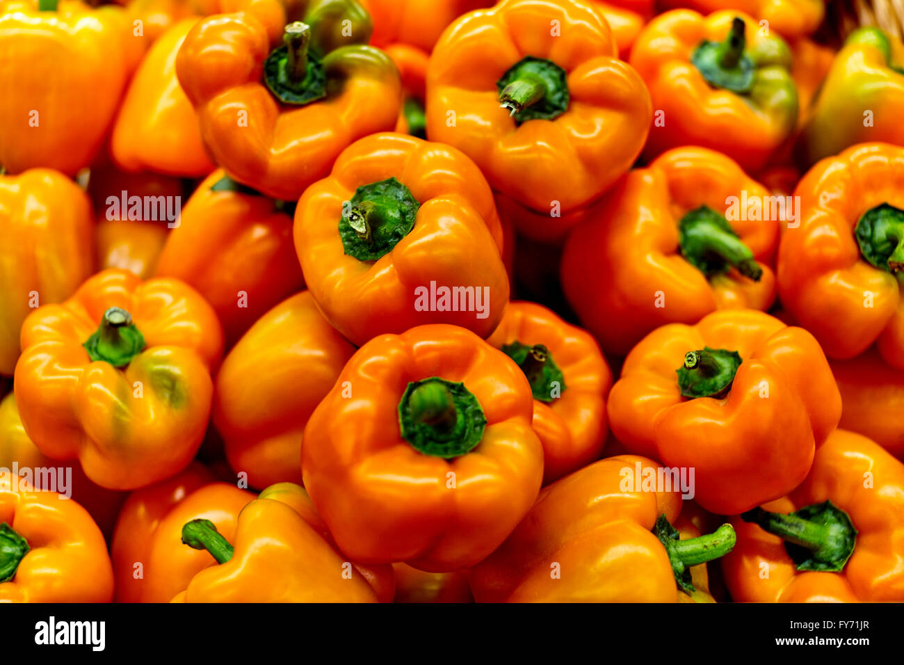 Bushel full of orange bell peppers Stock Photo - Alamy