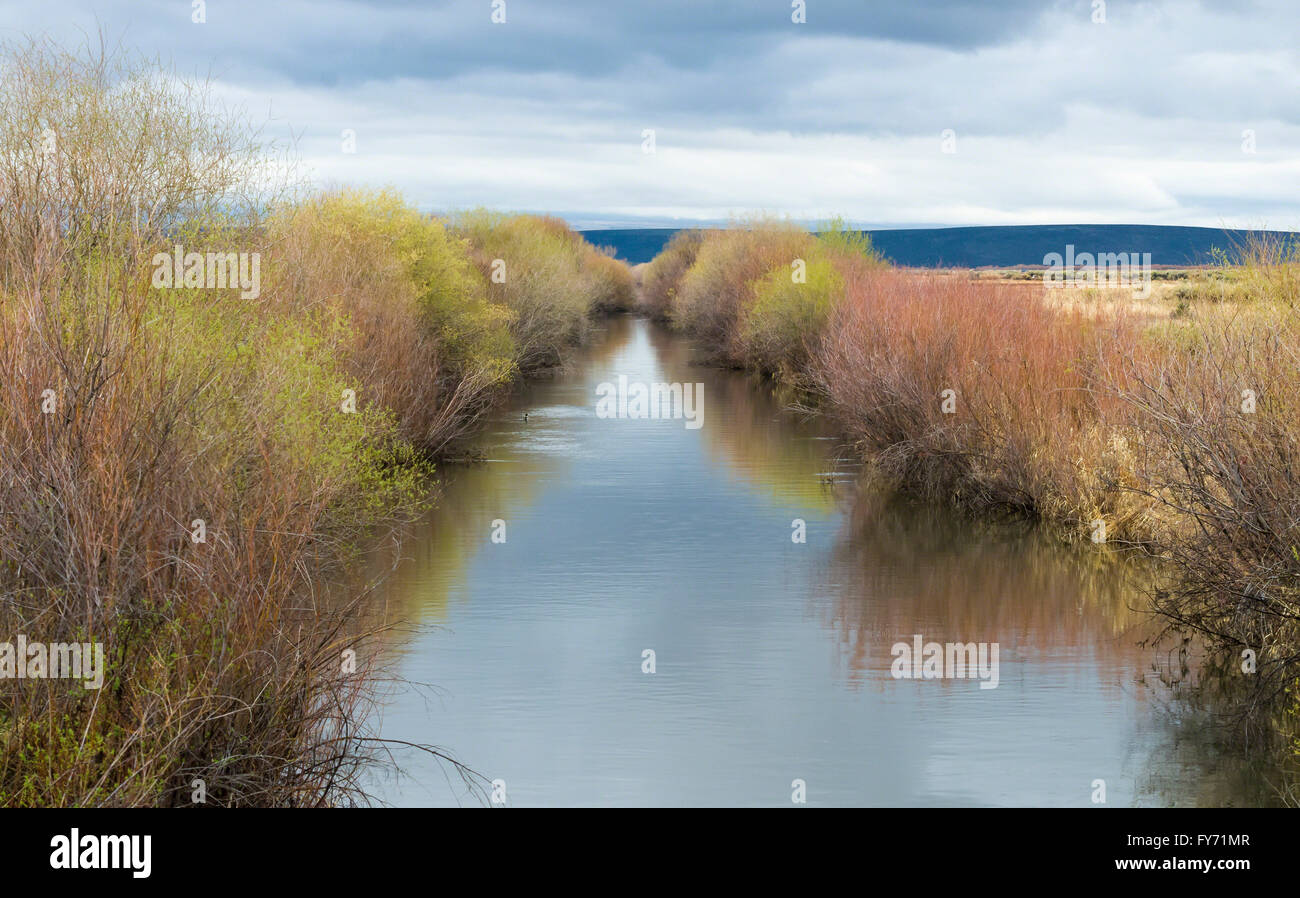 Malheur national wildlife hi-res stock photography and images - Alamy