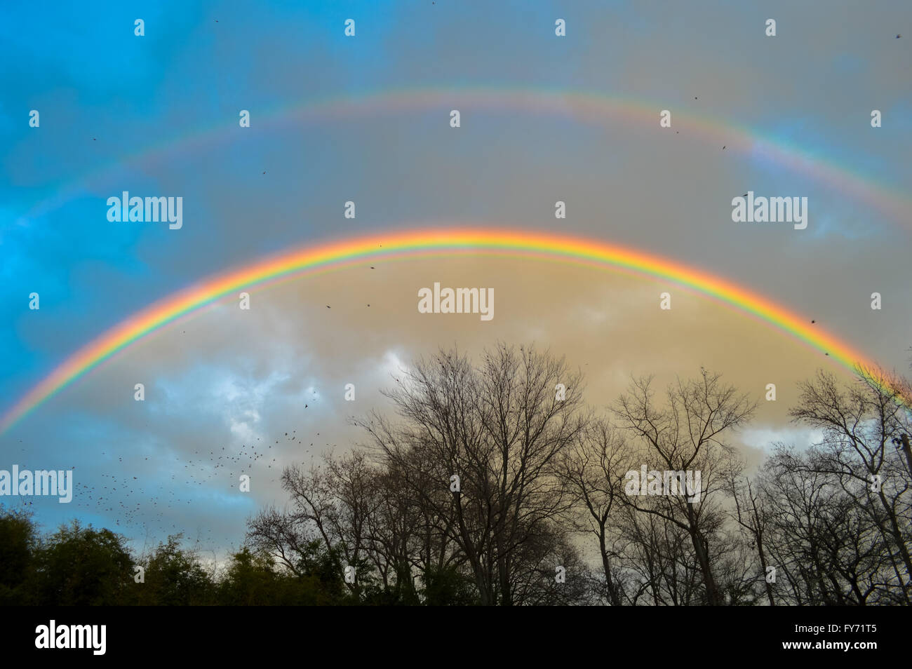 Prism rainbow hi-res stock photography and images - Alamy