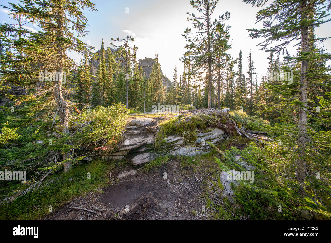 big rocks and green trees Stock Photo - Alamy