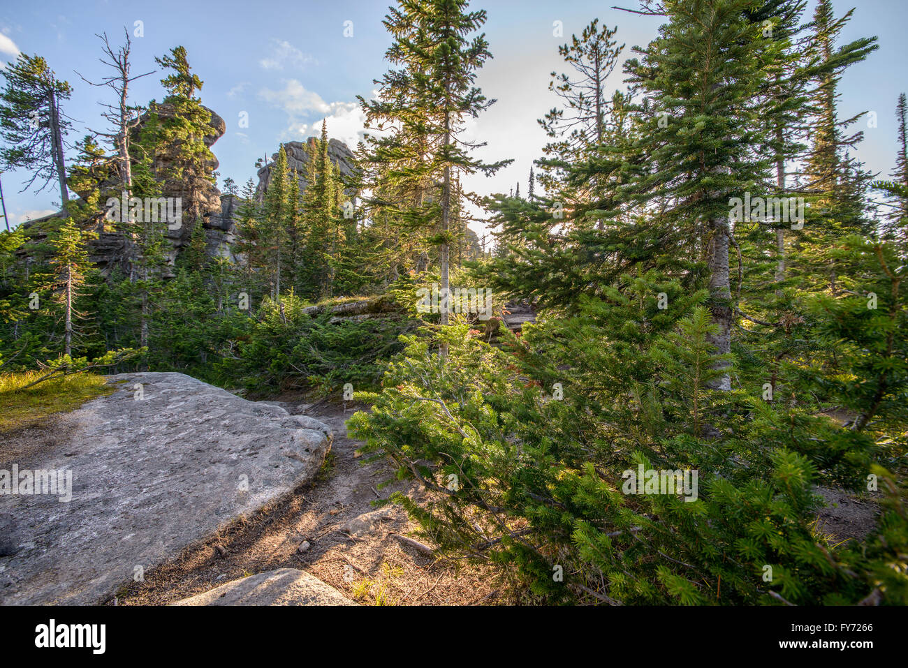 big rocks and green trees Stock Photo - Alamy