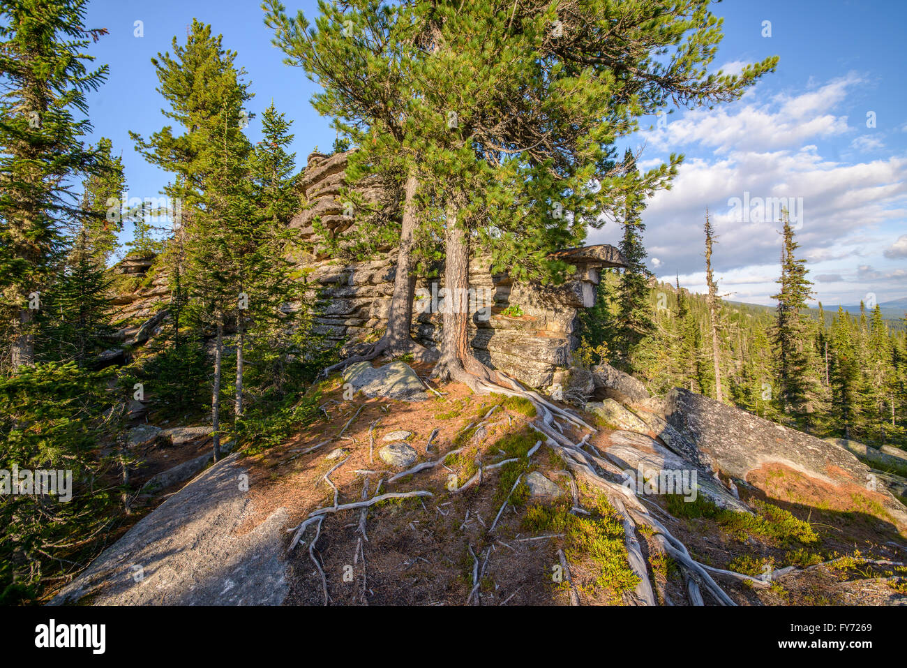 big rocks and green trees Stock Photo - Alamy