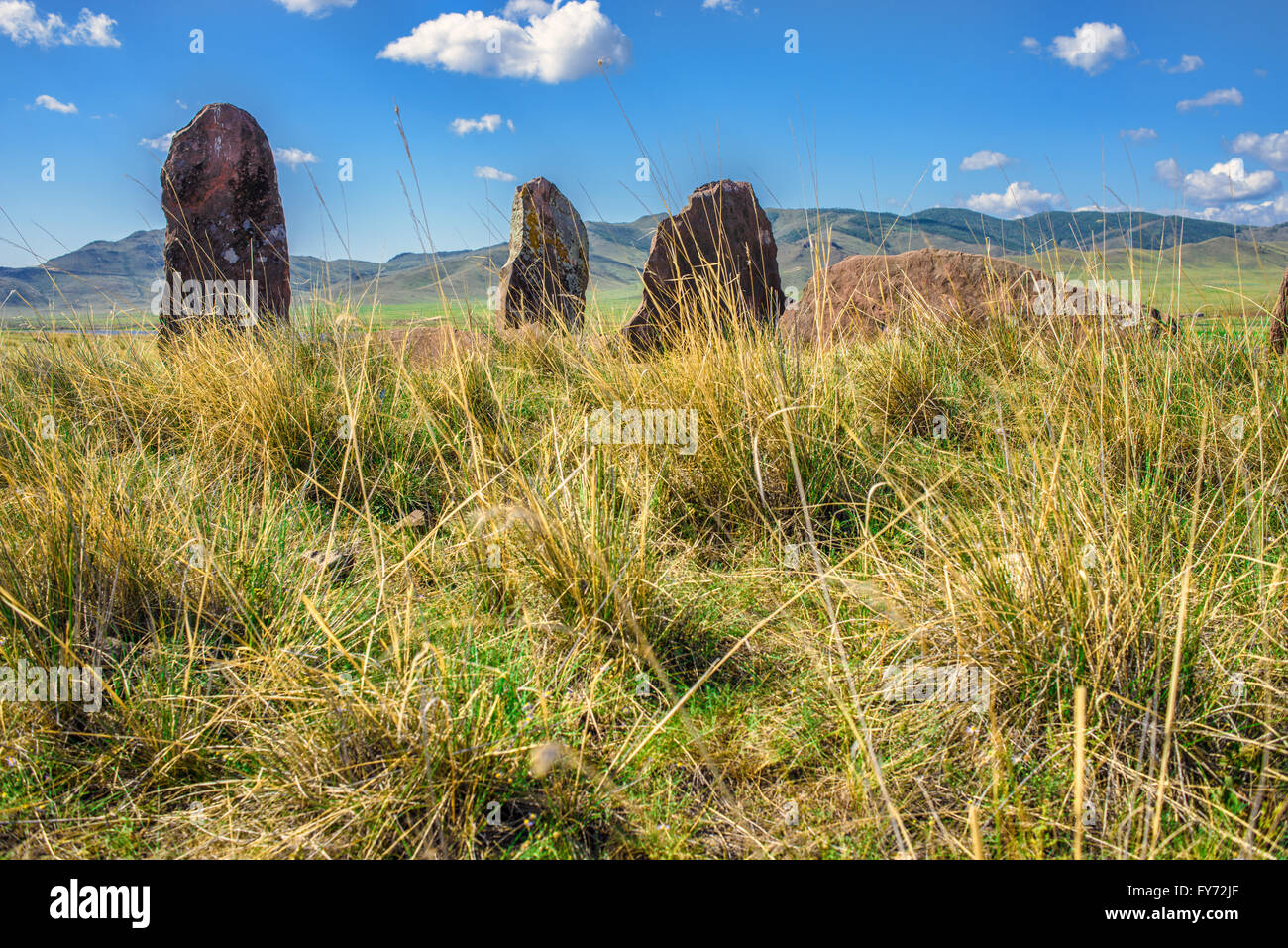 Megalithic rocks on the field Stock Photo - Alamy