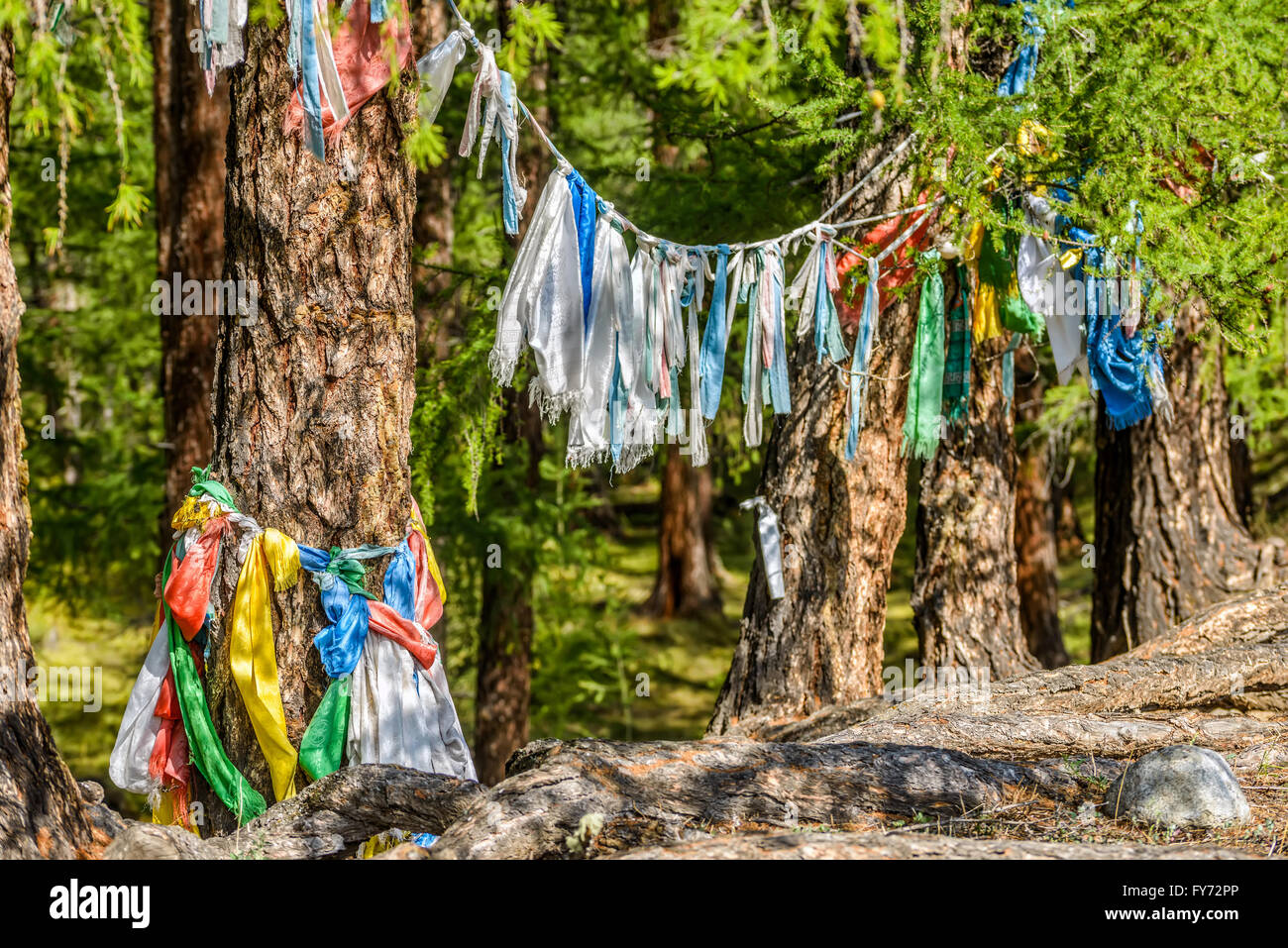 Colorful tourist's flags Stock Photo - Alamy