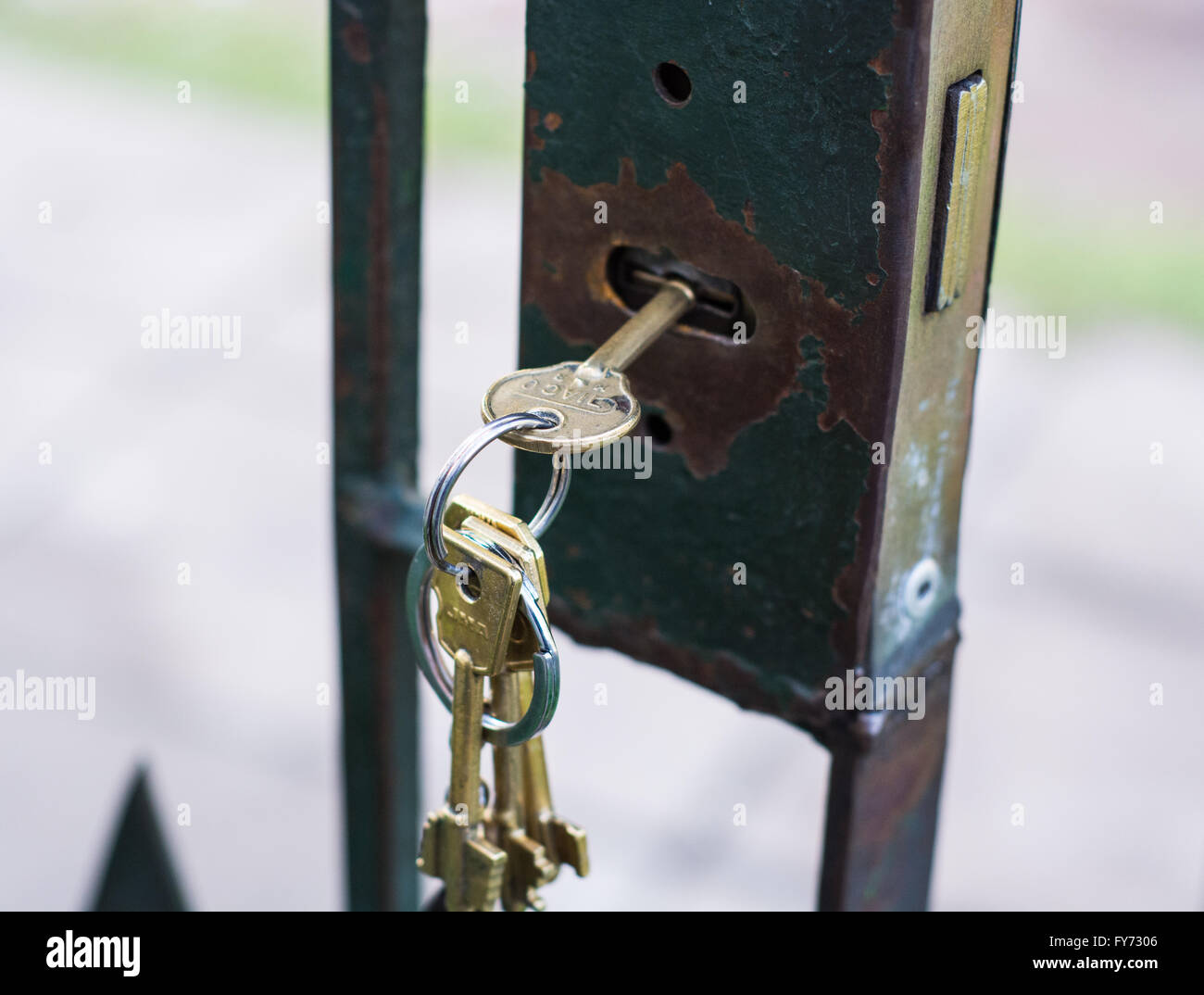 Keys in a door Stock Photo - Alamy