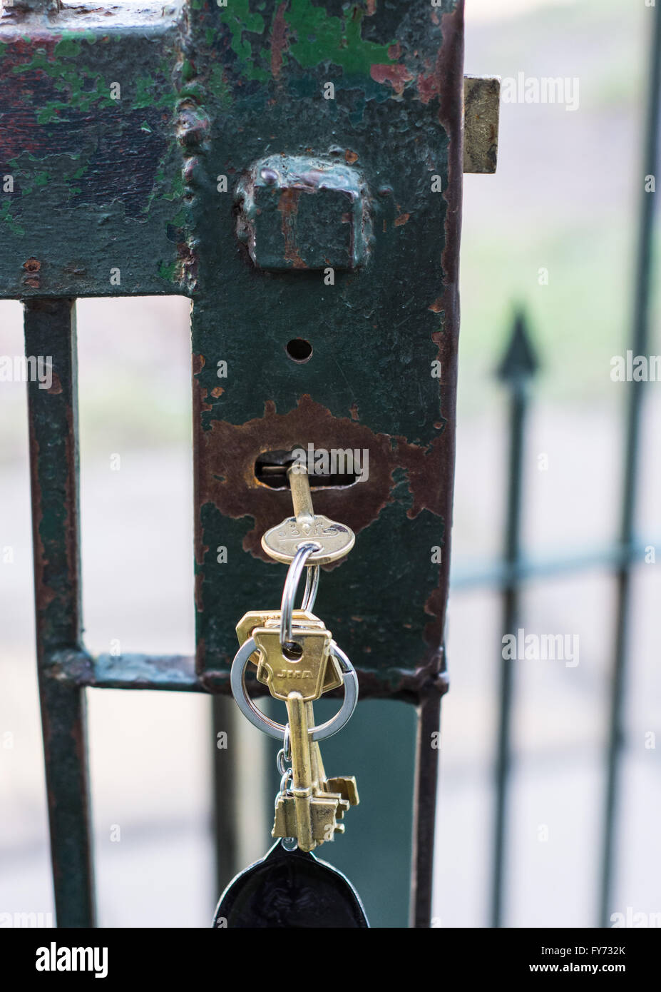 Keys in a door Stock Photo - Alamy