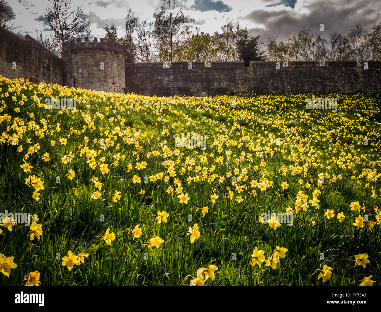 Parapet walls hi-res stock photography and images - Alamy