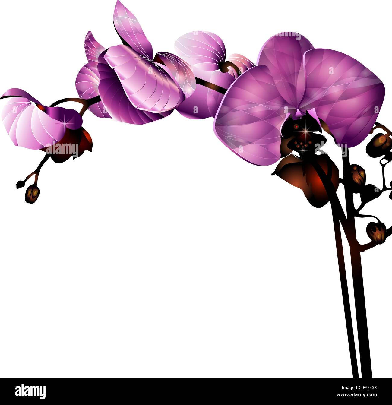 3d orchid flower vector with space for your message Stock Vector Image ...