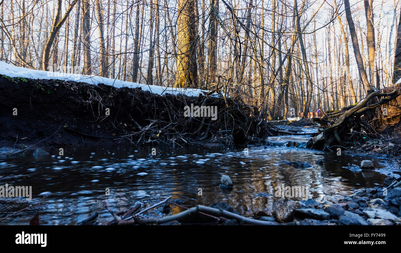 Creek in snow spring forest hi-res stock photography and images - Alamy
