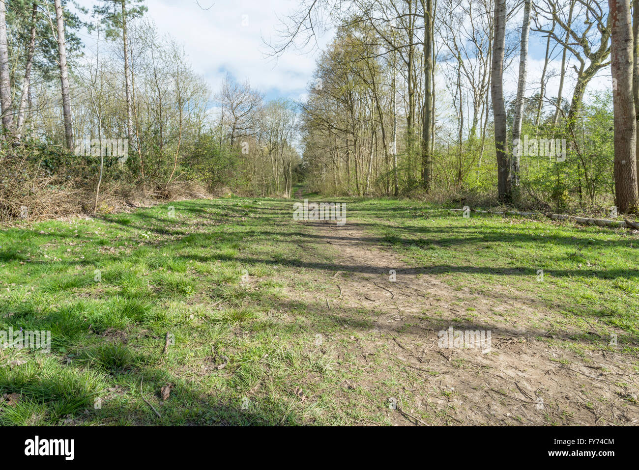 Country path walkway hi-res stock photography and images - Alamy