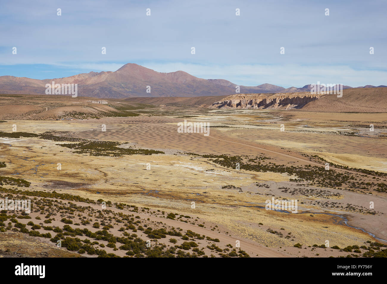 Large open plain created by the River Lauca in Lauca National Park ...