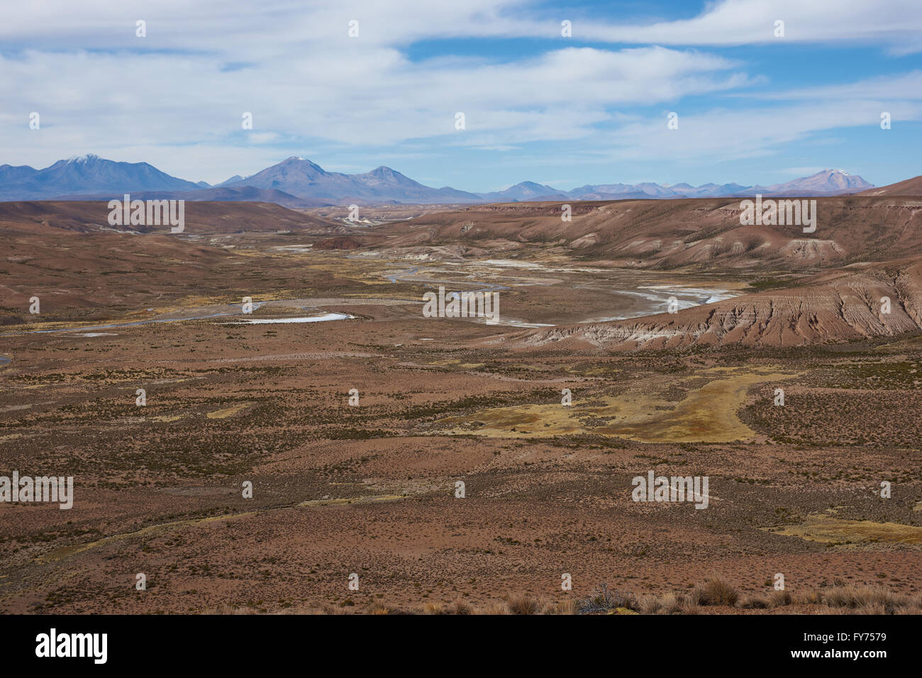 Large open plain created by the River Lauca in Lauca National Park ...