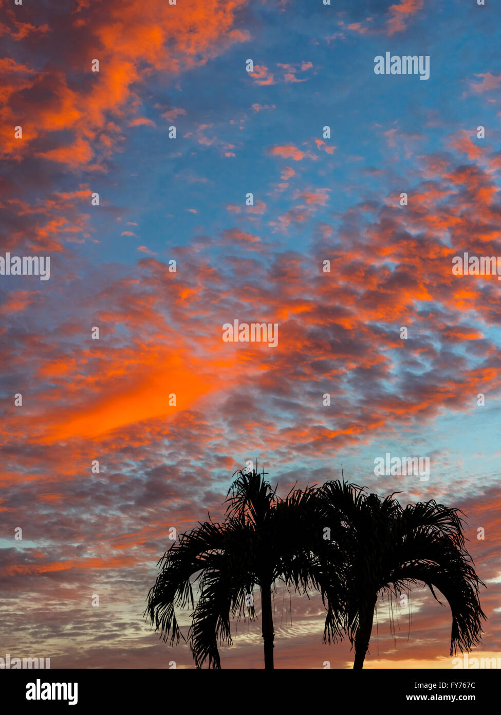 Sunrise in Florida. USA Stock Photo - Alamy