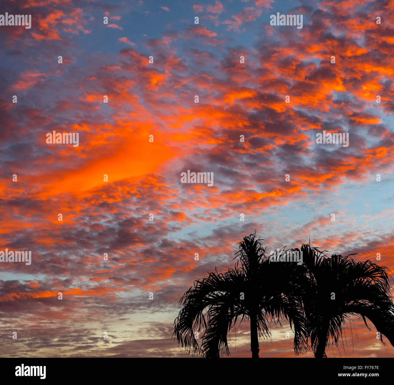 Florida outdoors hi-res stock photography and images - Alamy