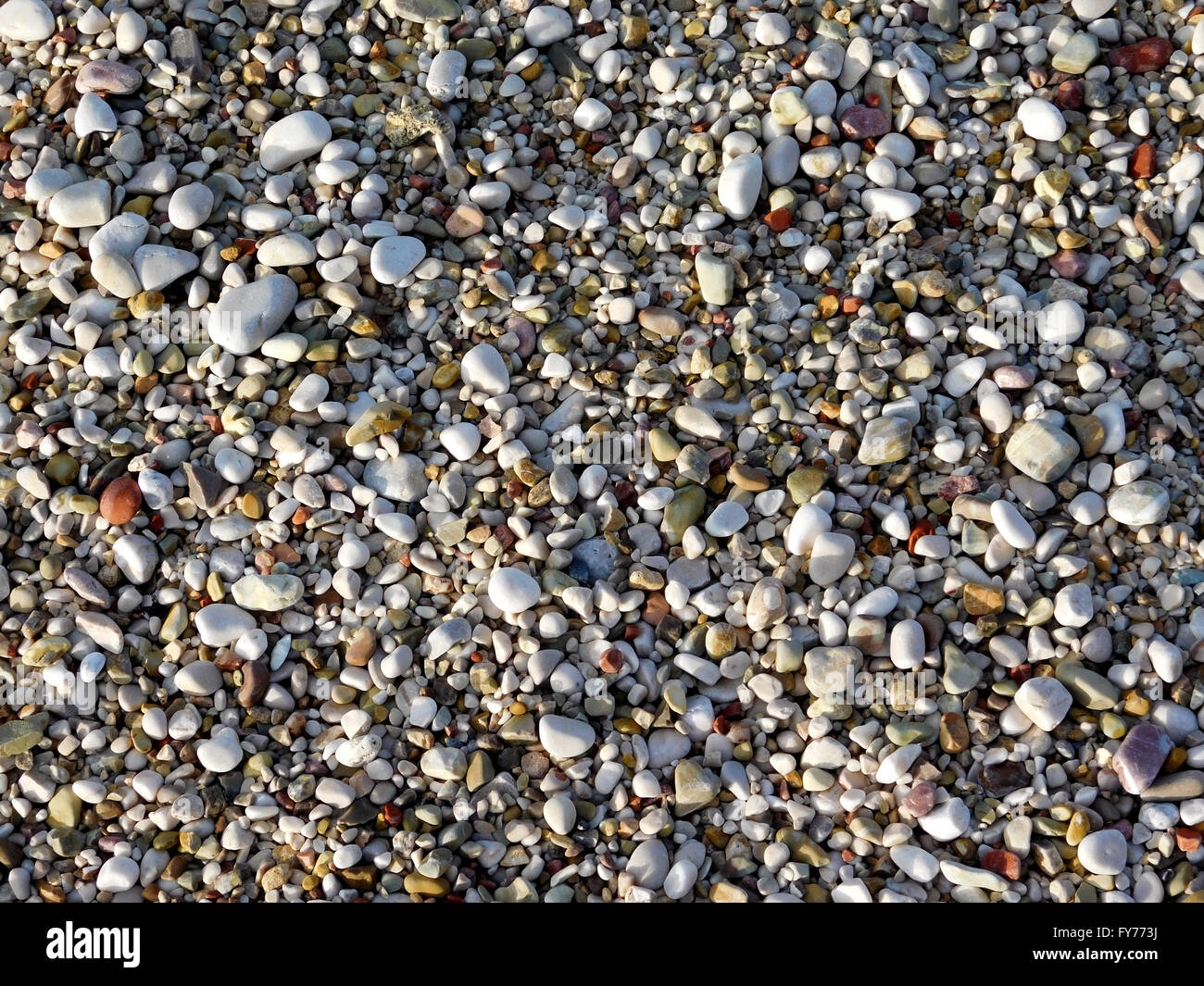 texture of land Stock Photo - Alamy
