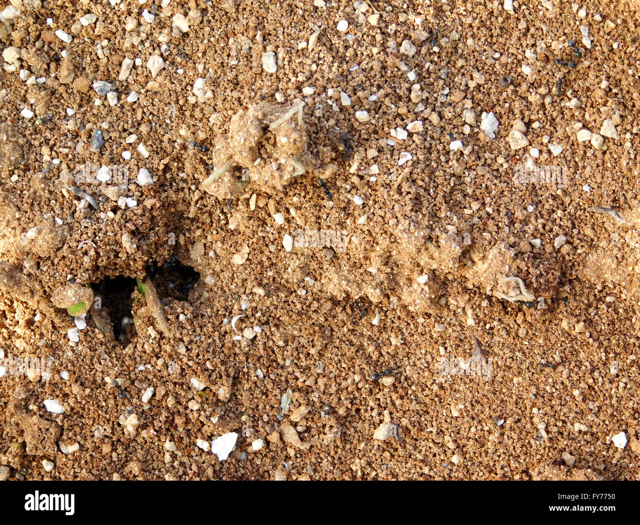 texture of land Stock Photo - Alamy