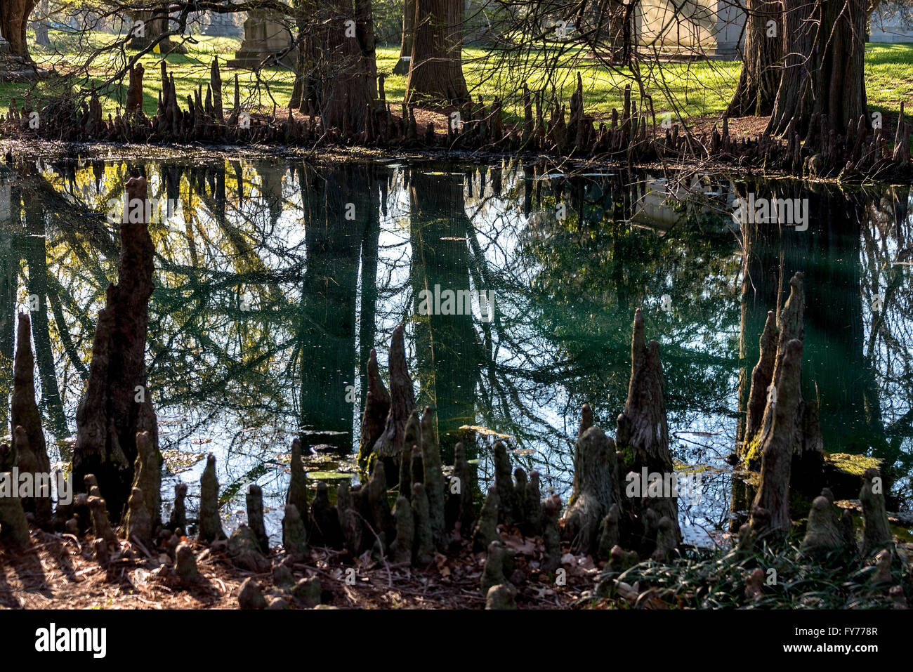 Cedar pond hi-res stock photography and images - Alamy