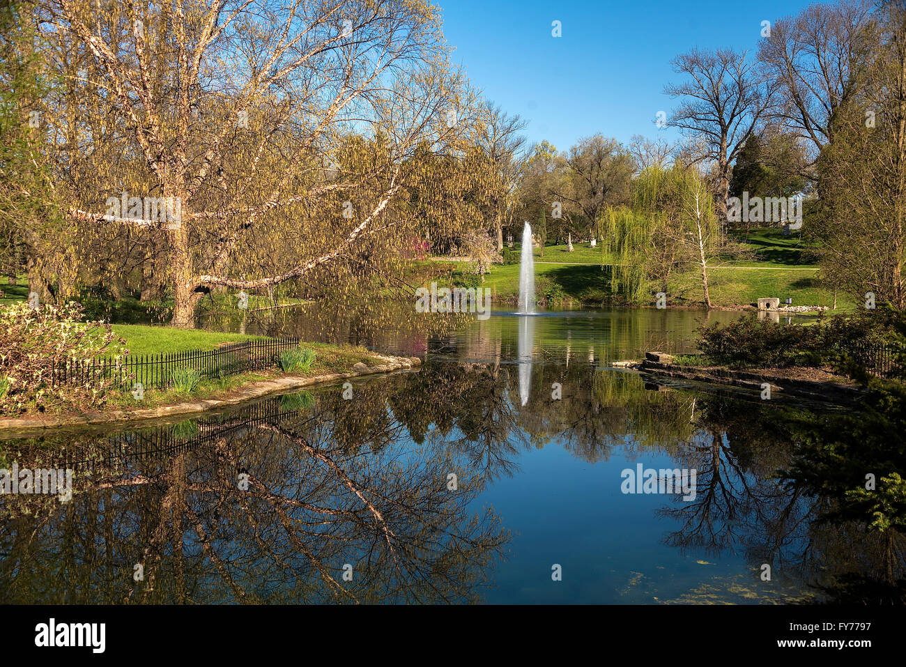Pond with Reflection Stock Photo - Alamy