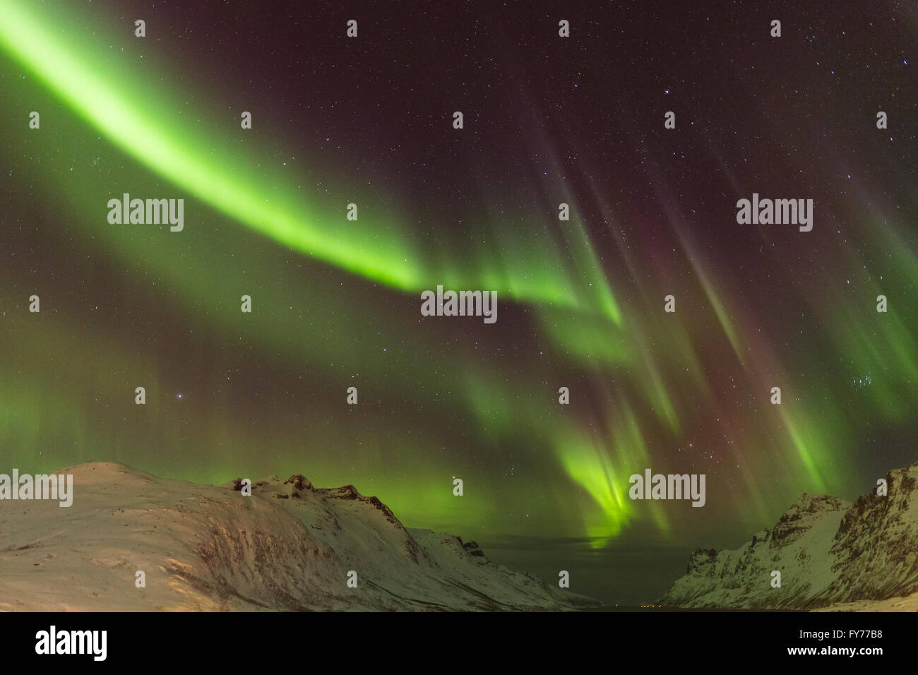 Northern Lights over a Fjord in Arctic Norway Stock Photo - Alamy