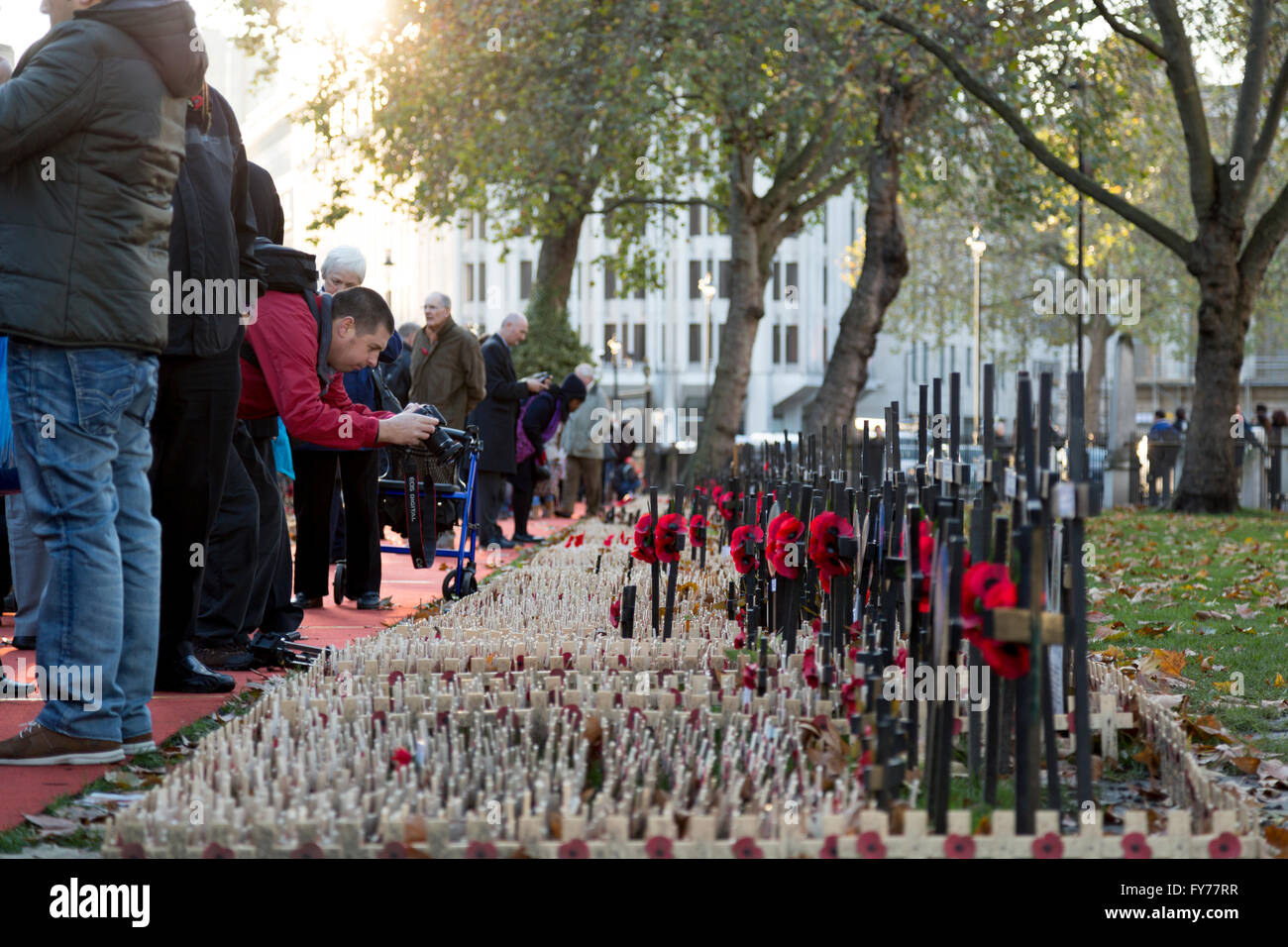 Queen elizabeth field of remembrance hi-res stock photography and ...