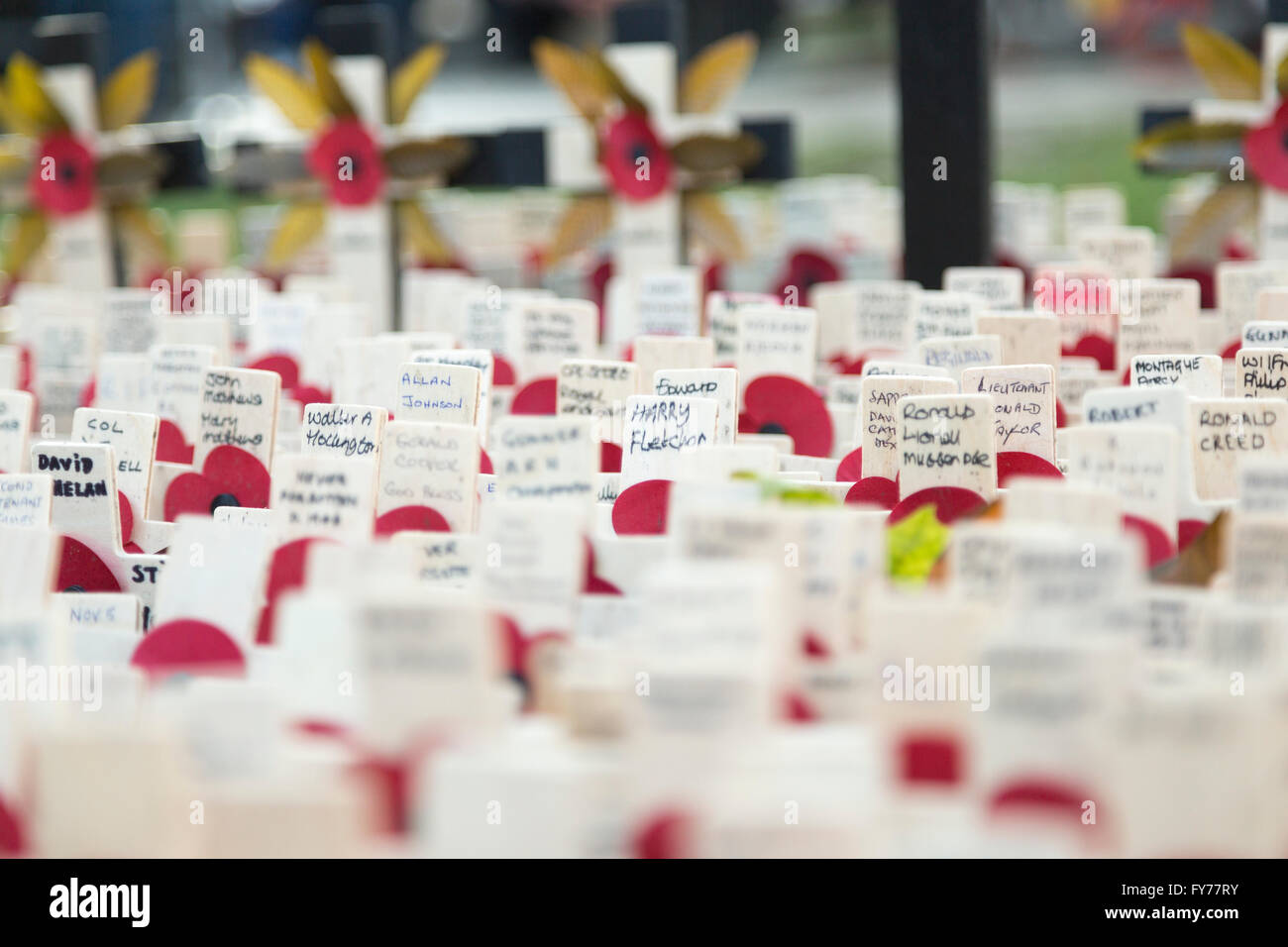 Names of fallen Servicemen are written of top of small crosses place at ...