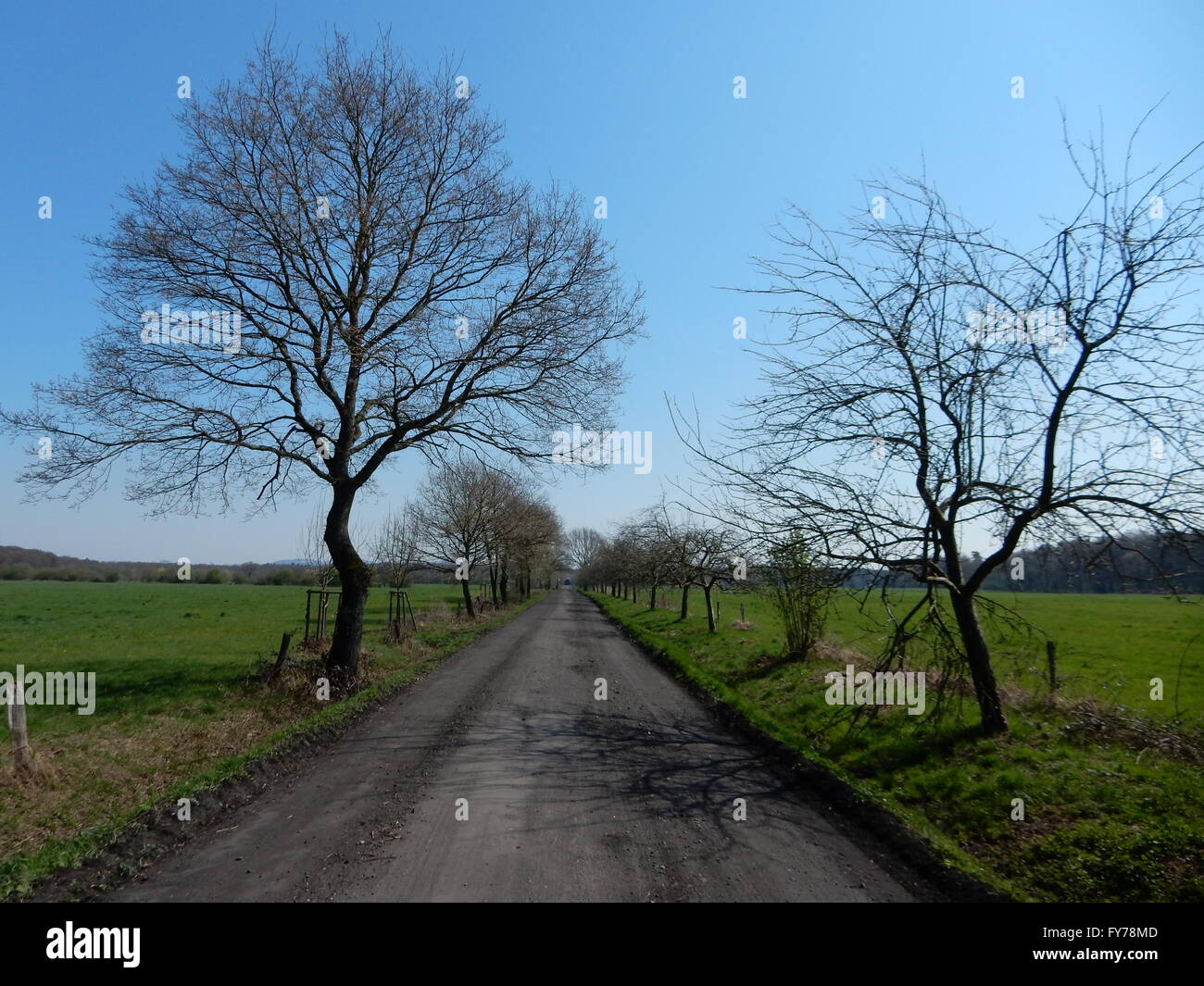 Landscape with road in the River Rhine country in Germany Stock Photo ...