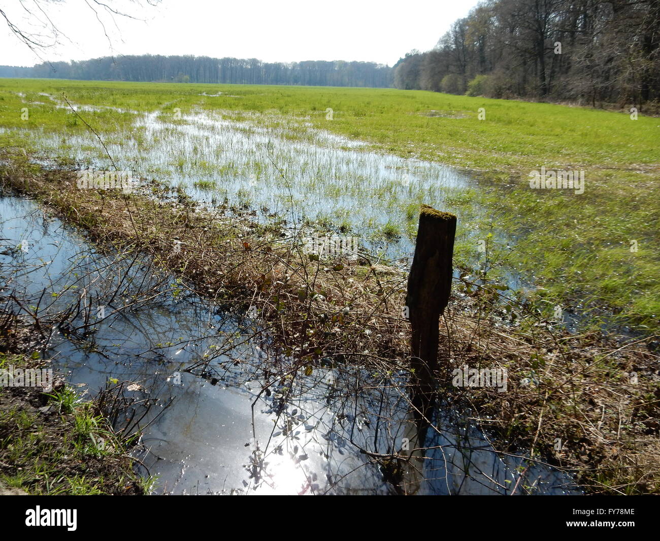 Landscape in the River Rhine country in Germany Stock Photo - Alamy