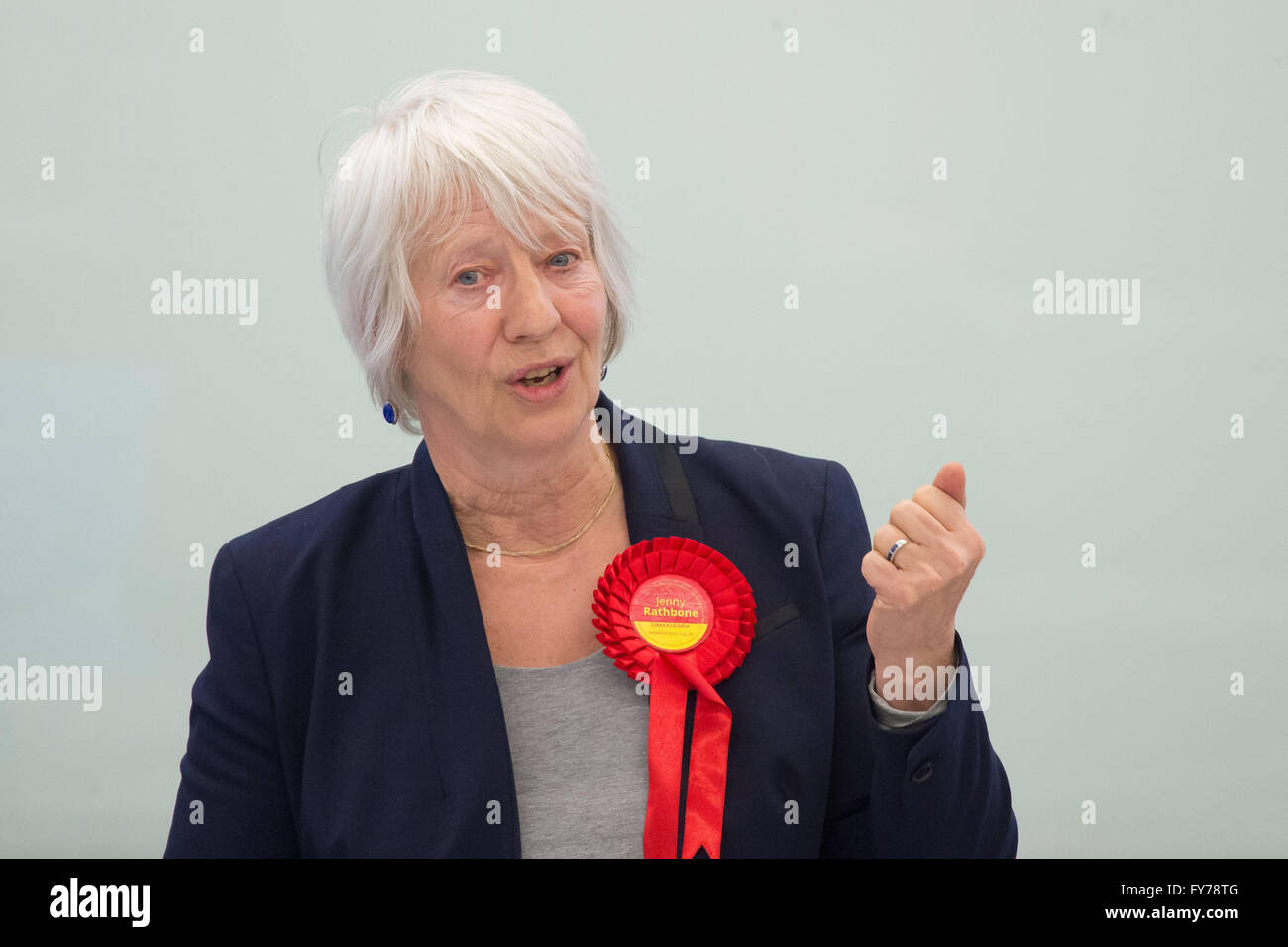 Jenny Rathbone Welsh Labour AM for Cardiff Central in the National ...