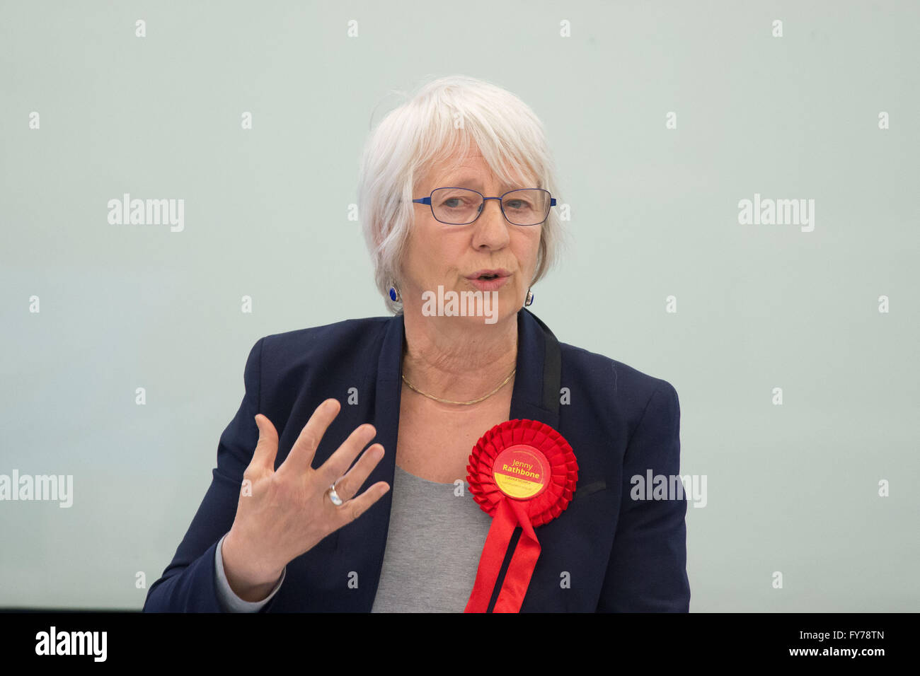 Jenny Rathbone Welsh Labour AM Assembly Member at the National Assembly ...