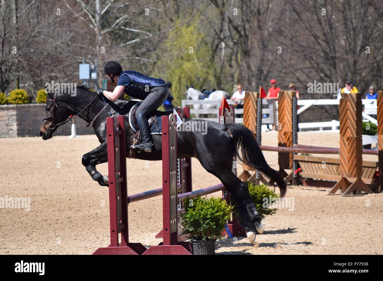 Oxer hi-res stock photography and images - Alamy