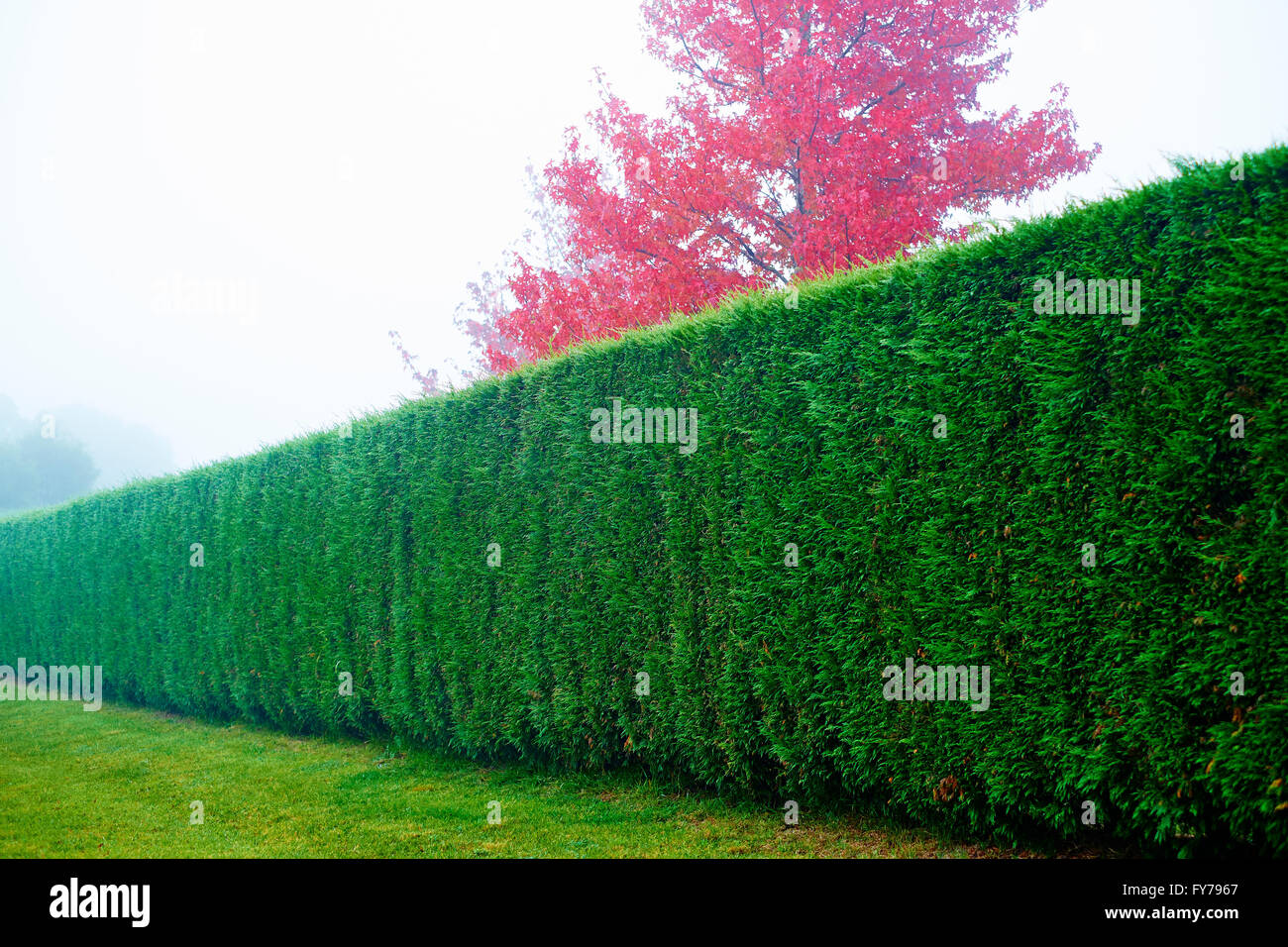 Red fog mist color hi-res stock photography and images - Alamy