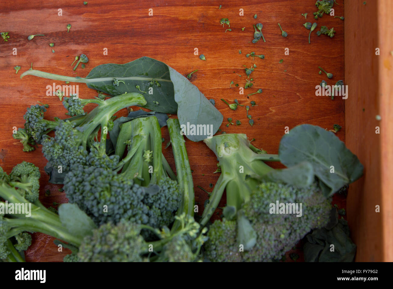 Green broccoli fresh organic market hi-res stock photography and images ...