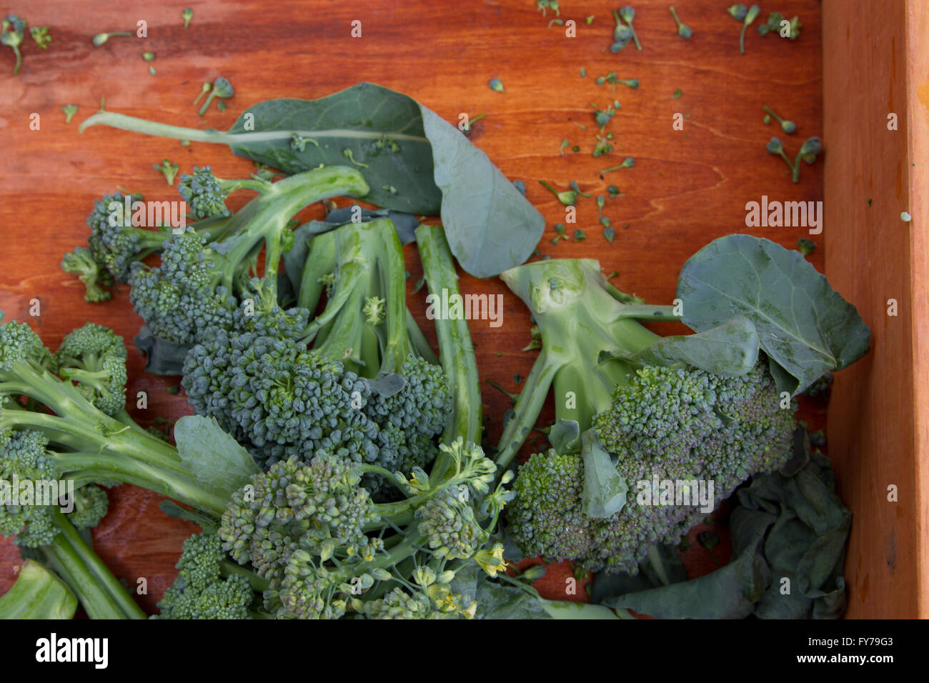 Broccoli in a wooden box Stock Photo - Alamy