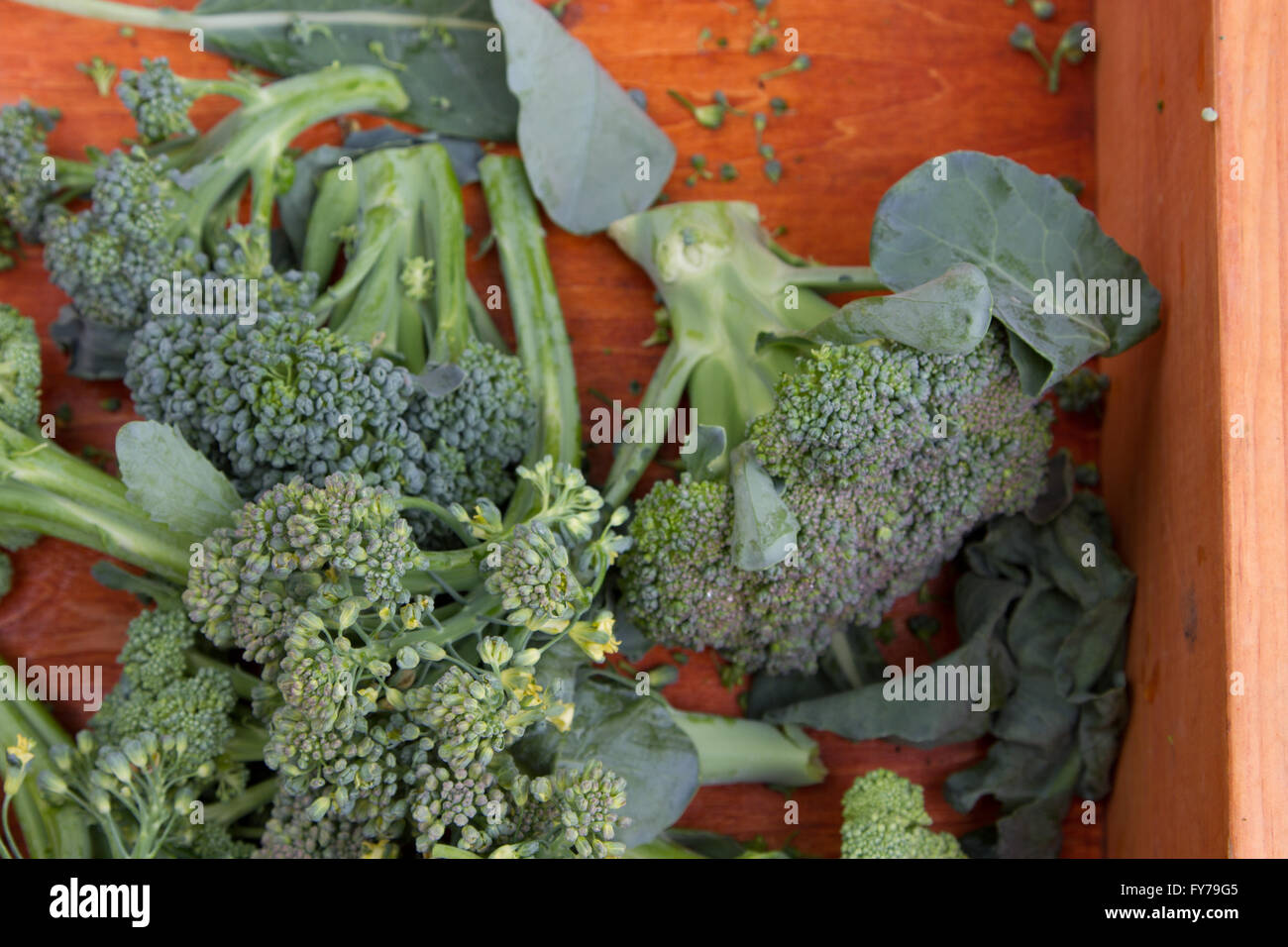 Broccoli in a wooden box Stock Photo - Alamy