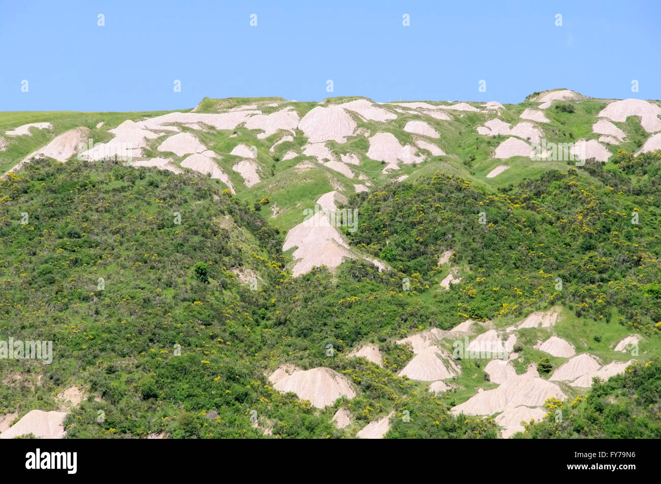 Crete senesi, accona hi-res stock photography and images - Alamy
