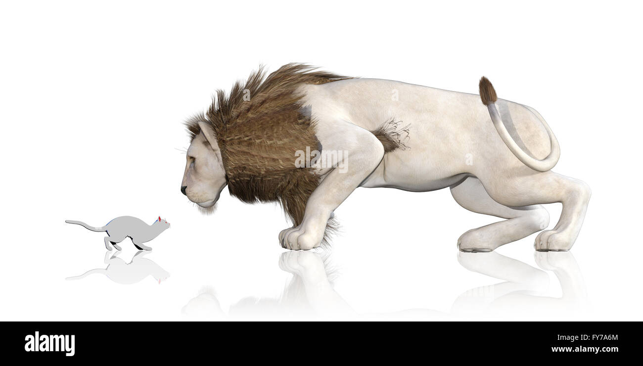 Staring cat Cut Out Stock Images & Pictures - Alamy