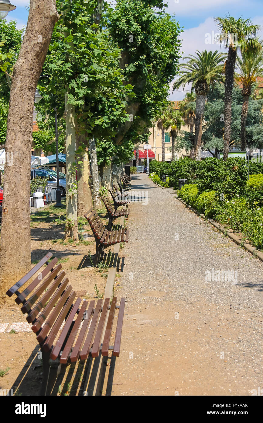 Empty alley with benches in the city park. Vada, Italy Stock Photo - Alamy