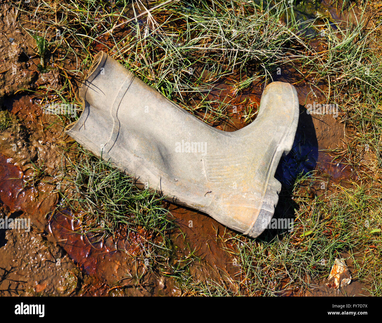 Wellington boot hi-res stock photography and images - Alamy
