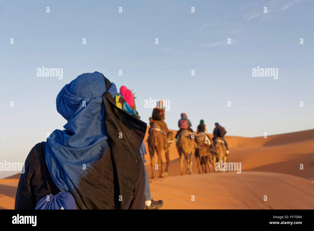 Camel trip in the evening with several people photographed from behind ...