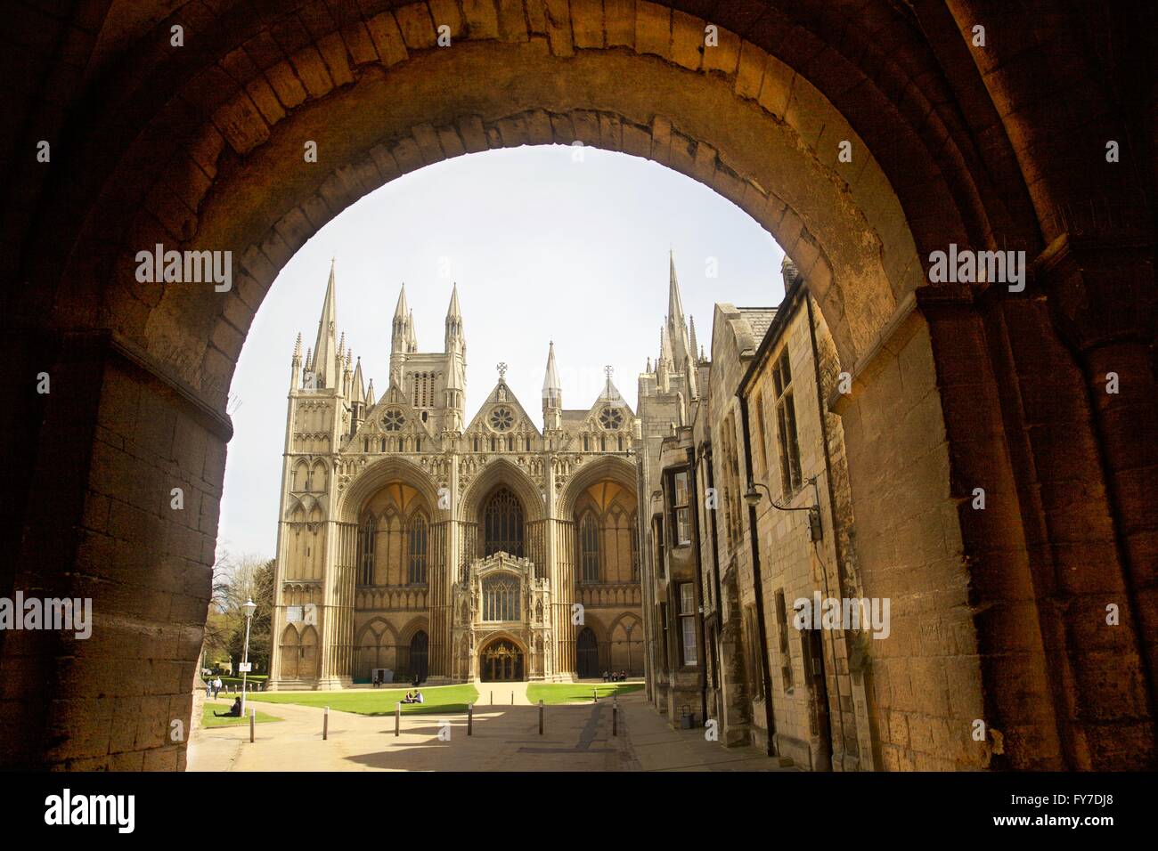 Peterborough Cathedral, Peterborough, Cambridgeshire, England Stock ...
