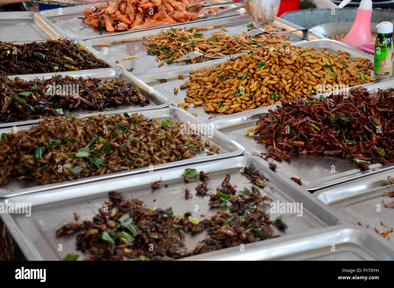 Exotic food fried Insect Stock Photo - Alamy