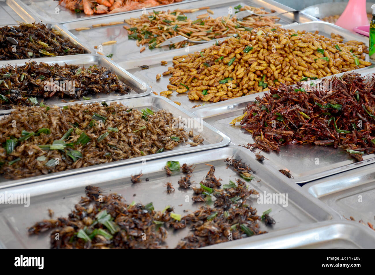 Exotic food fried Insect in market Stock Photo - Alamy