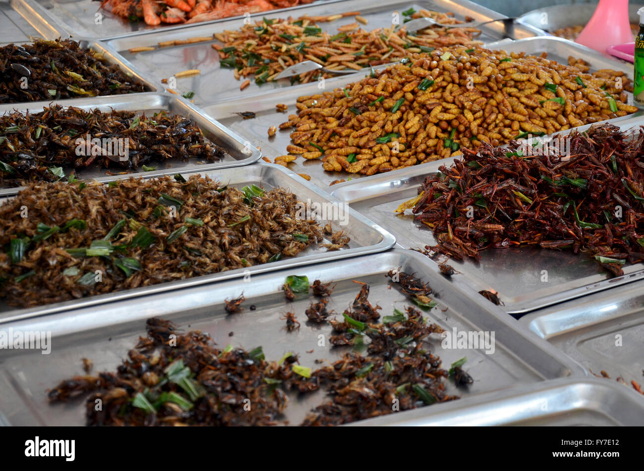 Edible insects restaurant hi-res stock photography and images - Alamy