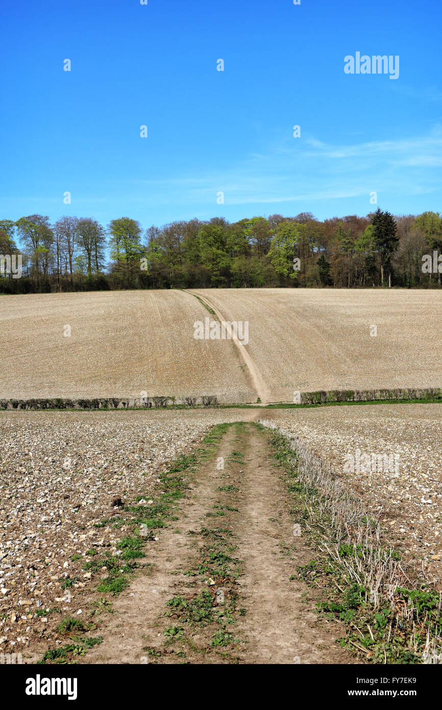 An English Rural Landscape with track through a field in the Chiltern ...