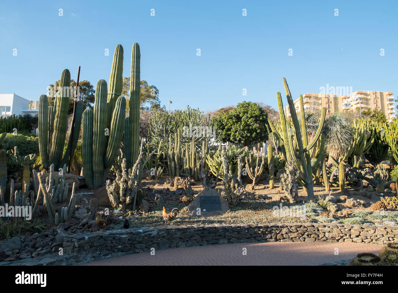 Parque de la paloma hi-res stock photography and images - Alamy
