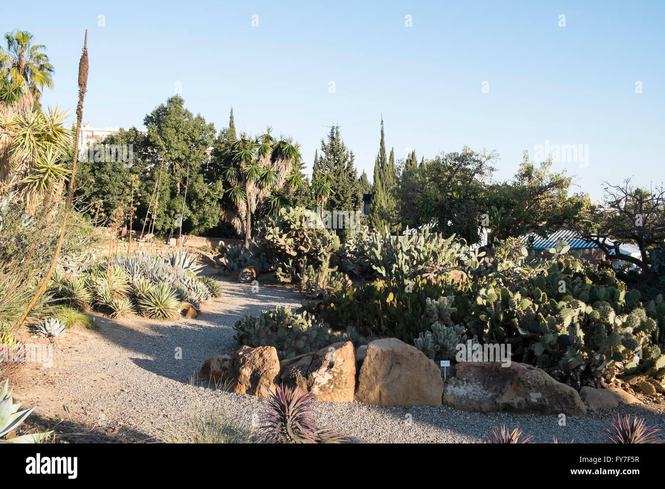 Parque de la paloma hi-res stock photography and images - Alamy