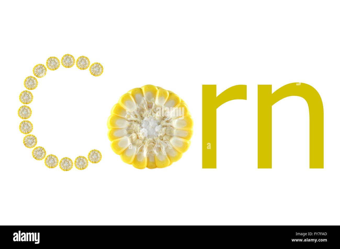 Monocot cross section hi-res stock photography and images - Alamy