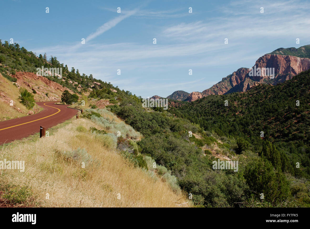 A road running through Zion National Park, Utah, United States Stock ...